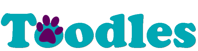 Toodles Dog Grooming Salon & Boutique – Helping Dogs Look And Feel Great